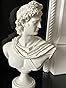 Design Toscano PD72520 Apollo Belvedere Bust Statue, 30 cm, Bonded ...