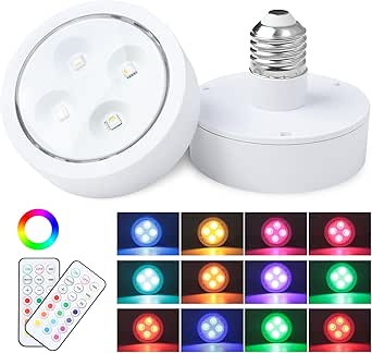 KELUOLY 2 Pack Battery Operated Light Bulbs,Dimmable E26 Battery Bulb ...