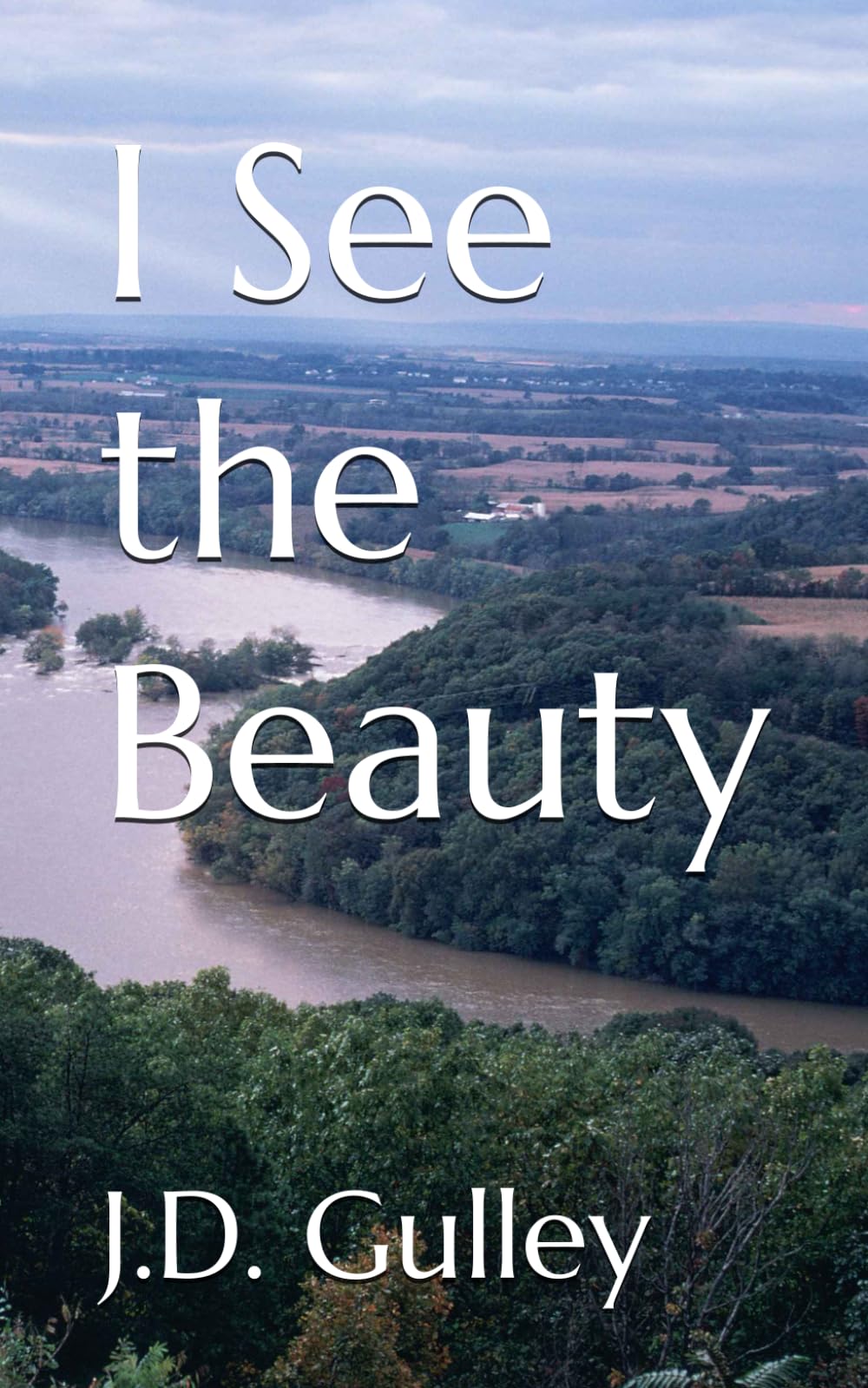 I See the Beauty: Gulley, J.D.: 9798397542937: Amazon.com: Books