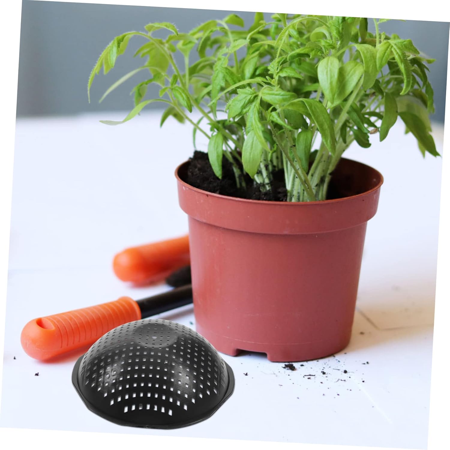 Happyyami 150 Pcs Flowerpot Spacer Planter Hole Pad Suculentas Plant ...