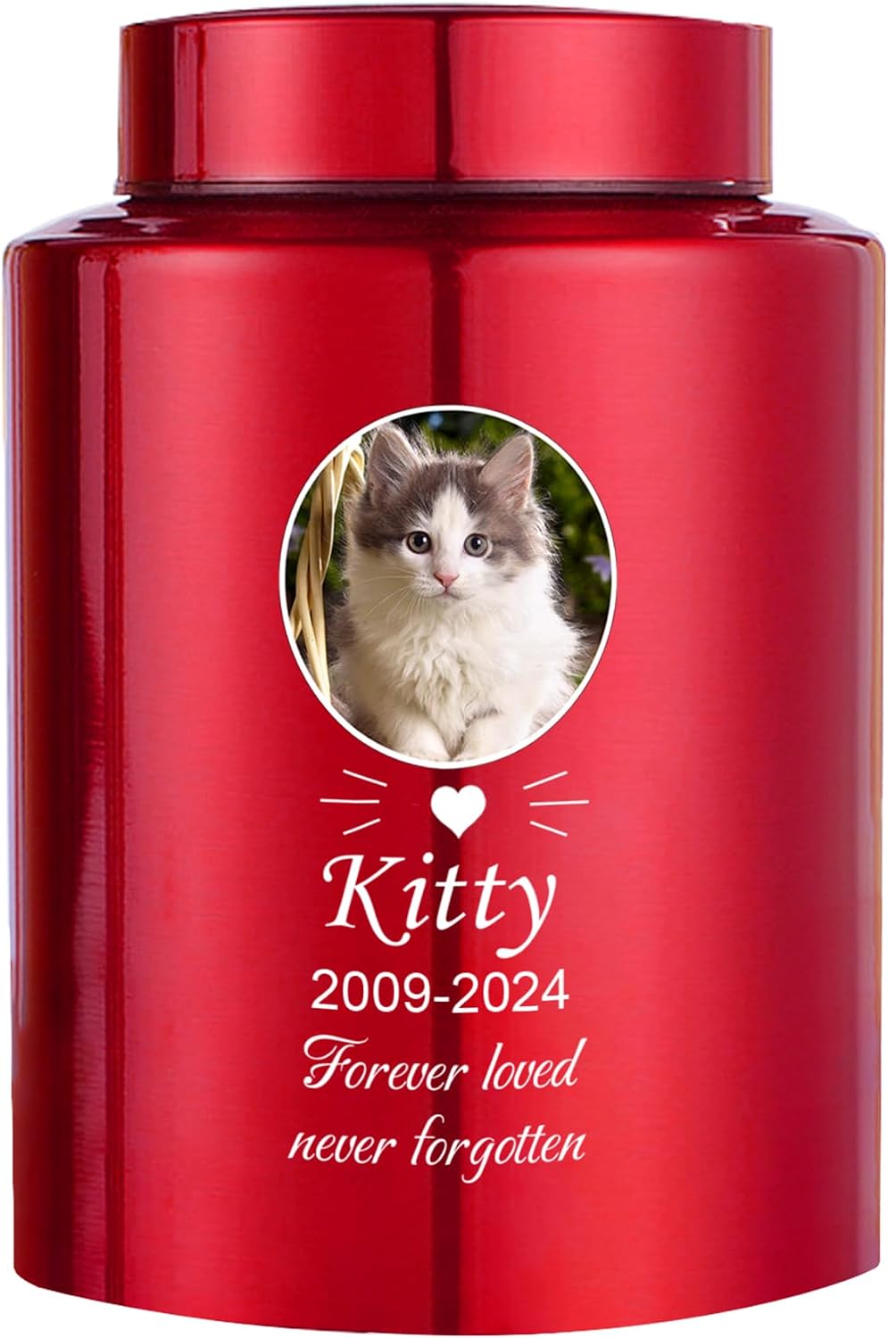 Amazon.com: Custom Urns for Dogs and Cats Ashes Personalized Pet Urn ...