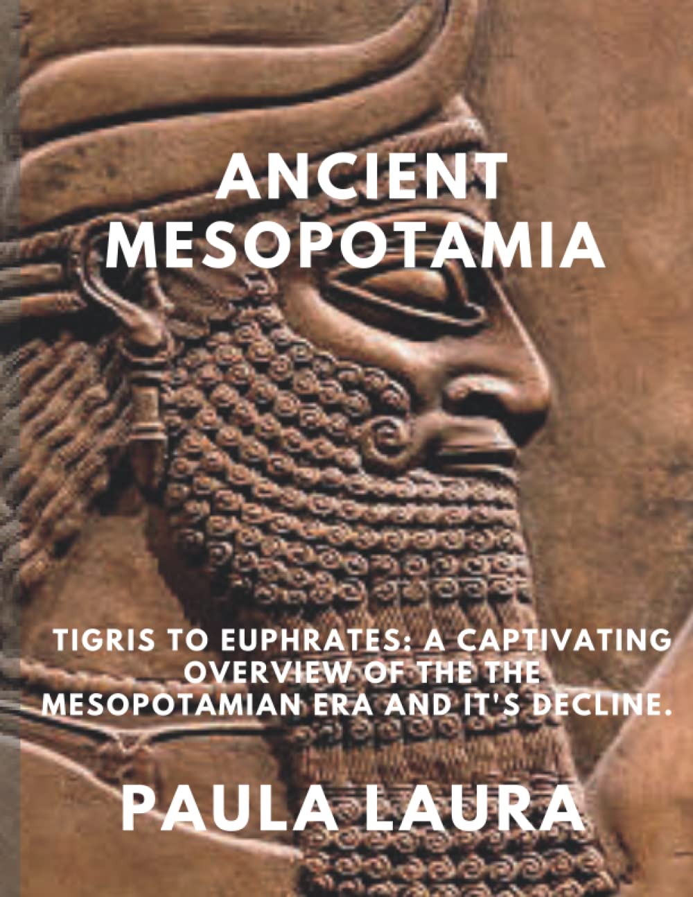 Amazon.com: Ancient Mesopotamia: Tigris to Euphrates, a captivating ...