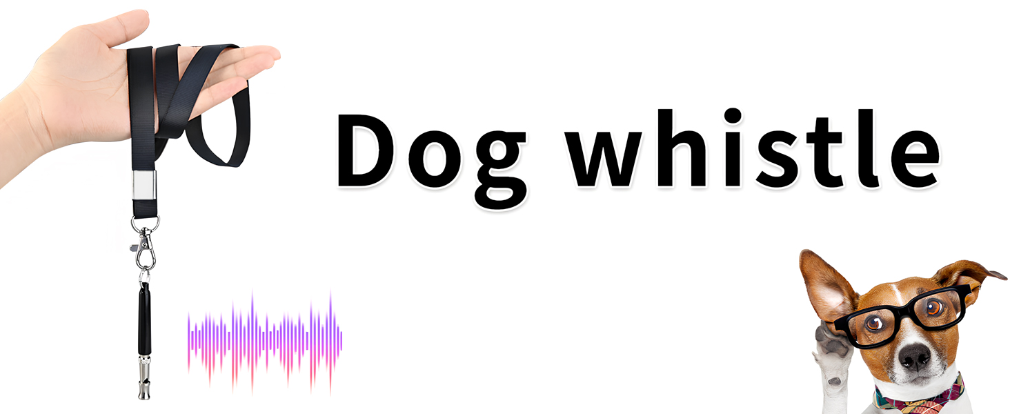 Watch Qivorimith Dog Whistle,Dog Whistle on Amazon Live