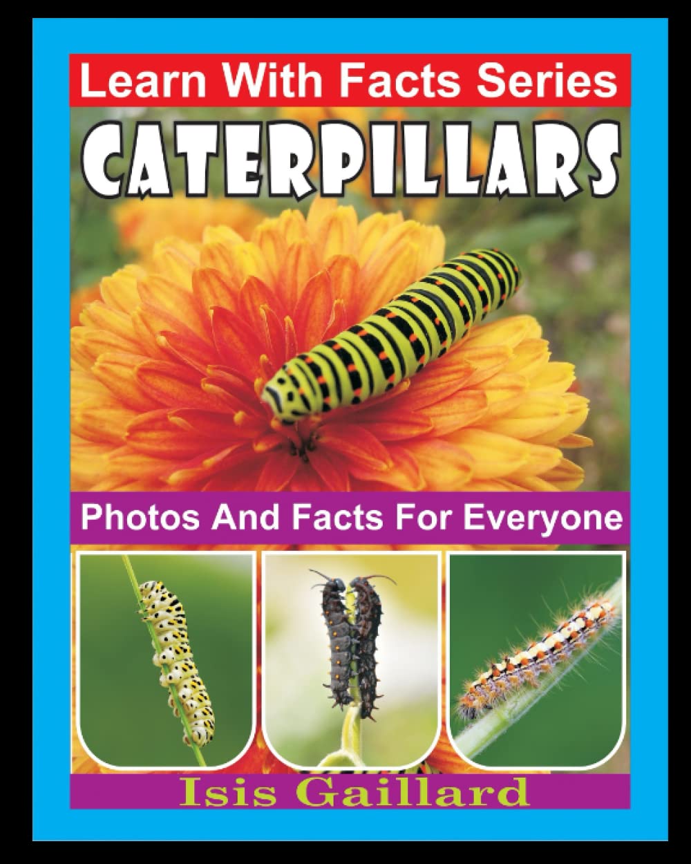 Caterpillars Photos and Facts for Everyone: Animals in Nature (Learn ...