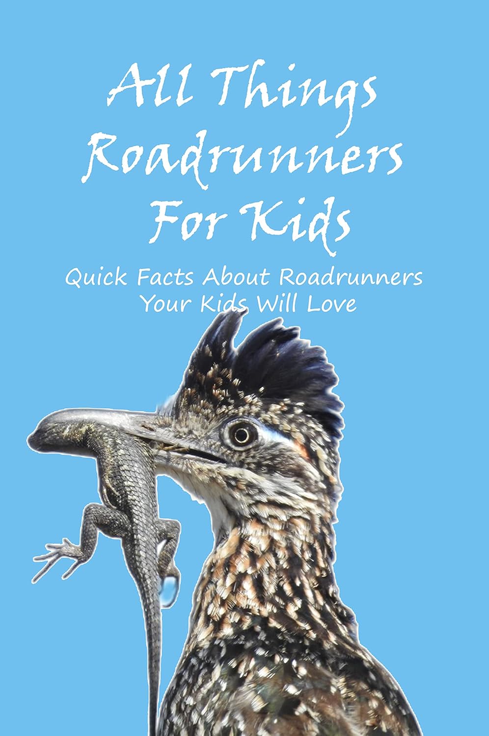All Things Roadrunners For Kids: Quick Facts About Roadrunners Your ...