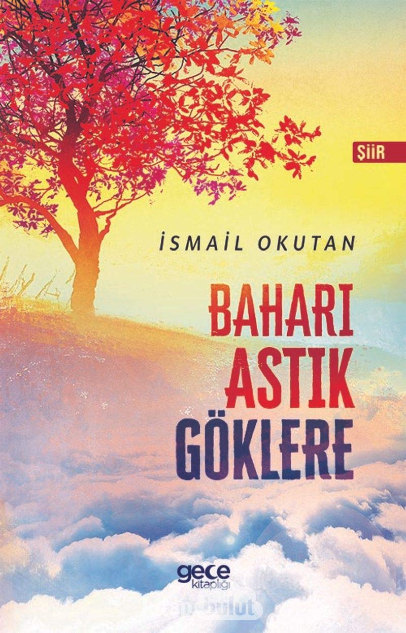Amazon.com: Bahari Astik Göklere: 9786257702058: Ismail Okutan: Books