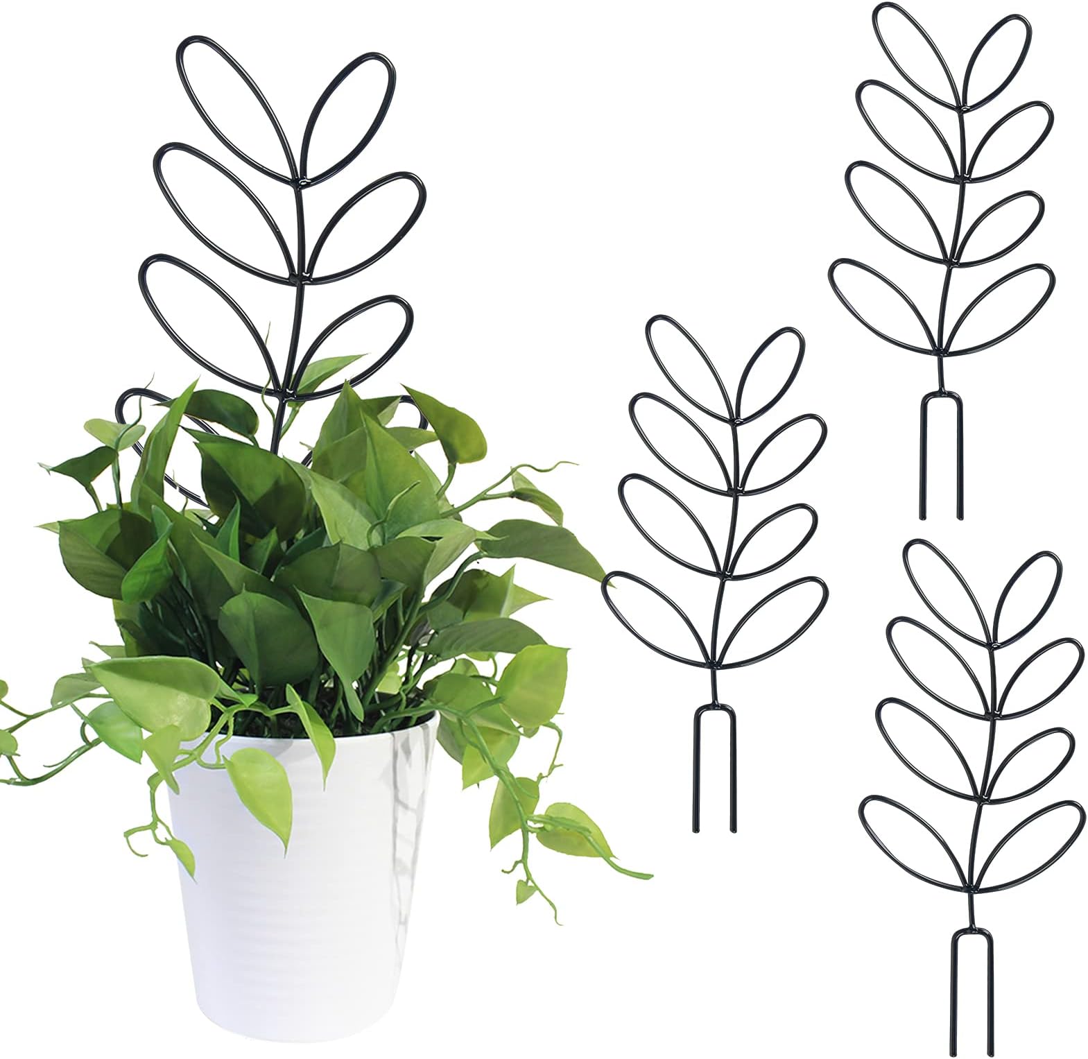 Amazon.com : 36 Pcs Trellis for Potted Plants 12 Inch Mini Garden ...