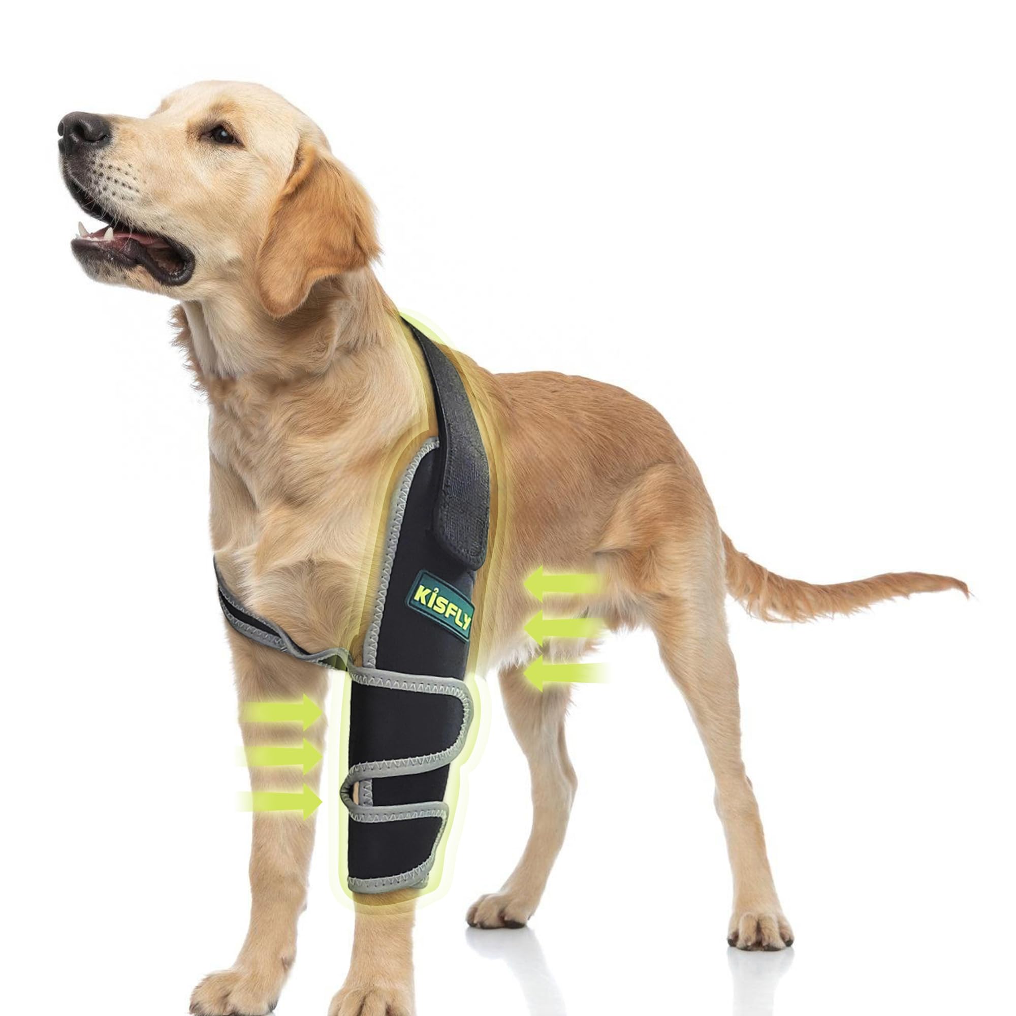 Amazon.com : KISFLY Dog Elbow Brace for Canine Elbow and Shoulder ...