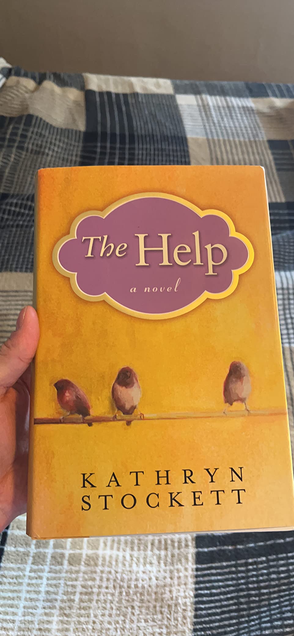 The Help - Kindle edition by Stockett, Kathryn. Literature & Fiction ...