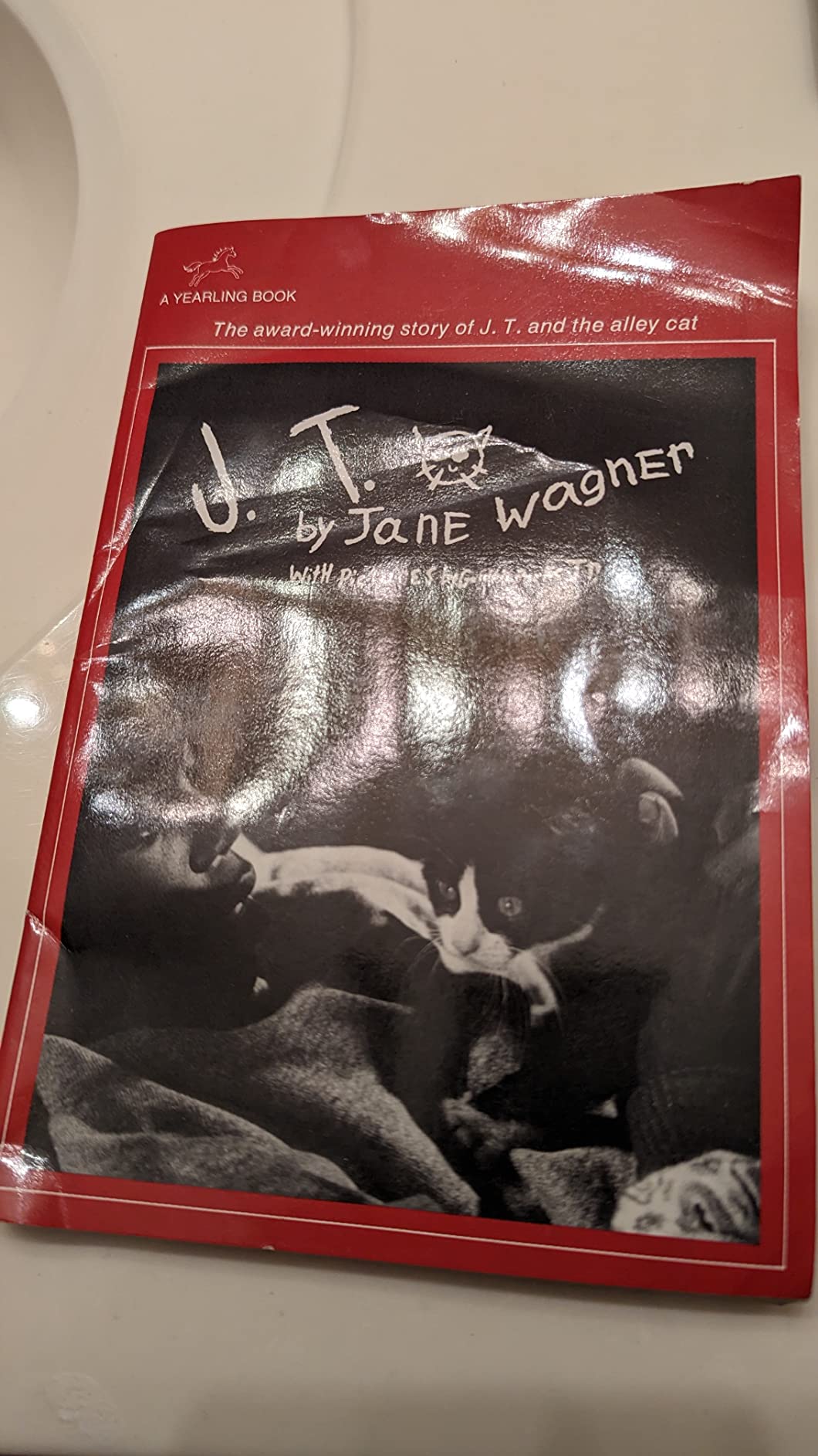 Amazon.com: J.T.: 9780440442752: Jane Wagner, Gordon Parks Jr.: Books