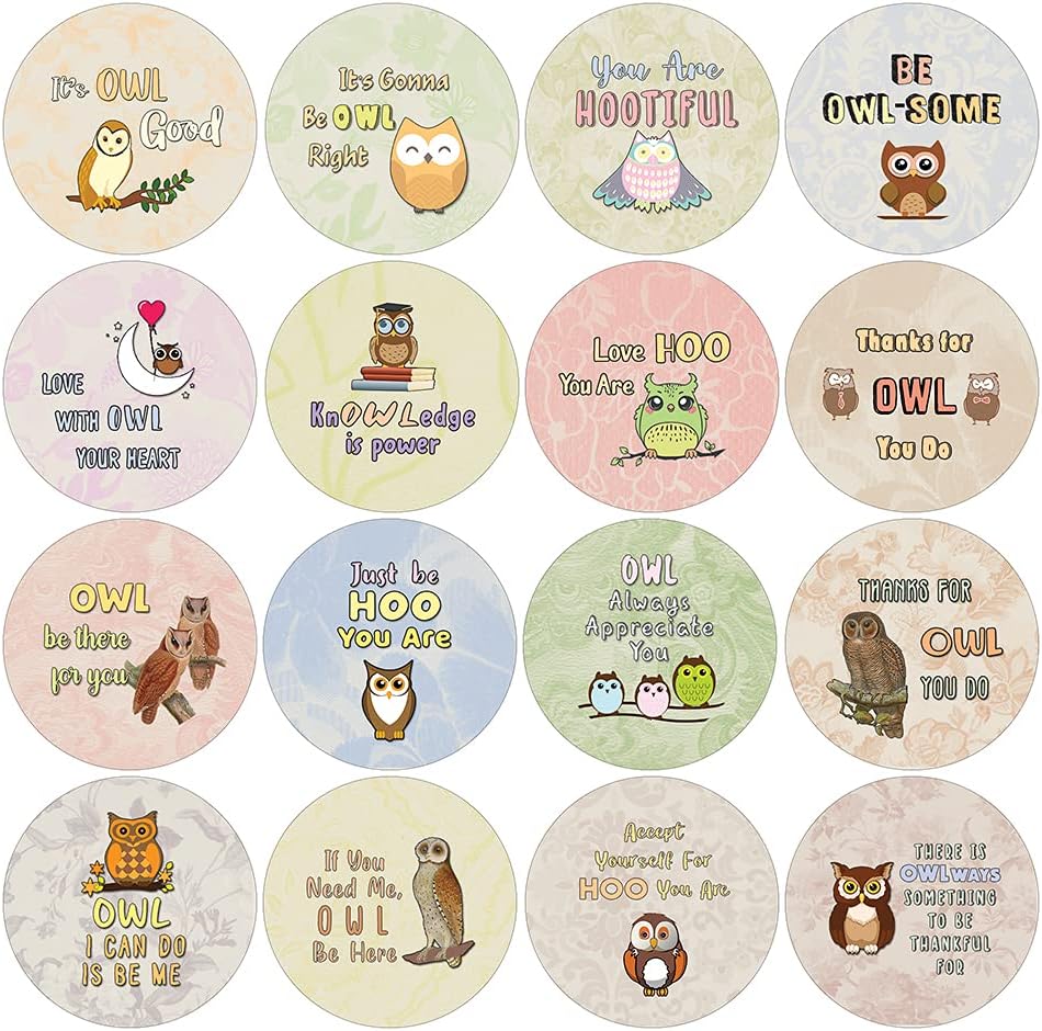 Amazon.com: Creanoso Motivational Owl Stickers (5 Sets X 16 Designs ...