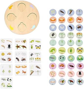 Amazon.co.jp: Life Cycle Kit Toys Lifecycle Tray Matching Game Wooden ...