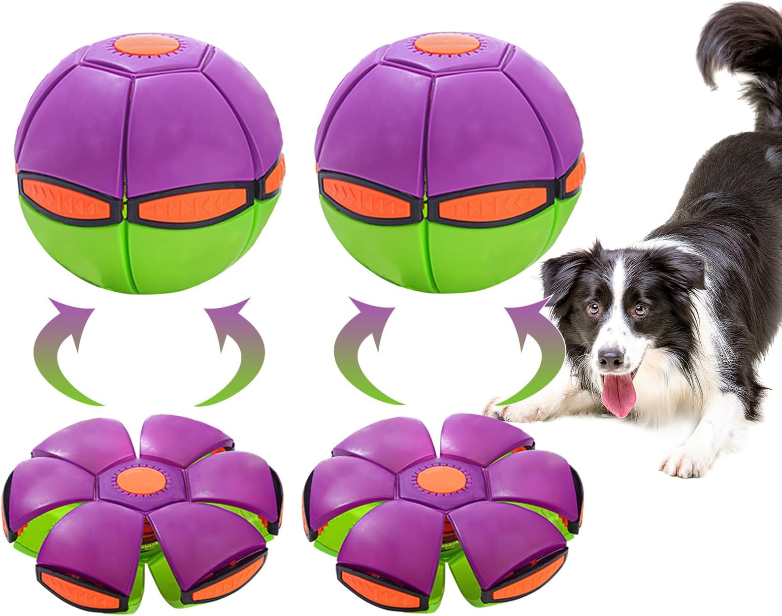 Pet Supplies : FlidRunest 2 Pack Two-Toned Pet Flying Saucer Ball for ...