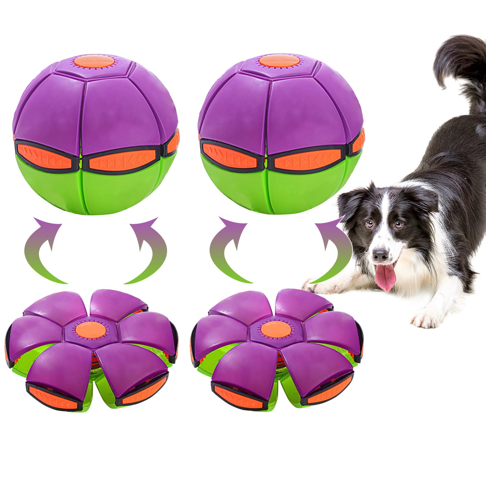 Pet Supplies : FlidRunest 2 Pack Two-Toned Pet Toy Flying Saucer Ball ...