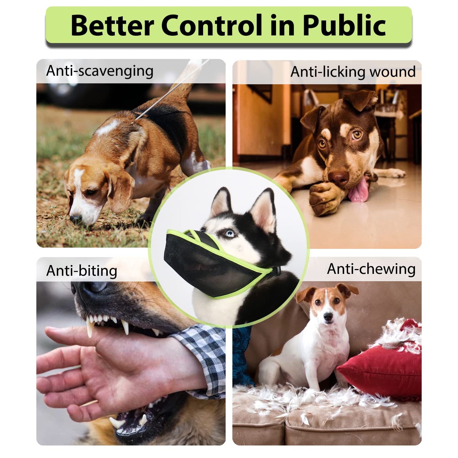 How Do I Control My Dog In Public