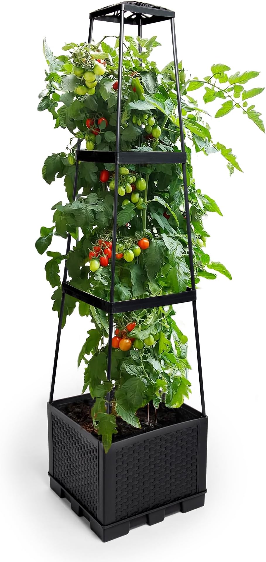 Amazon.com: Raised Garden Bed Tomato Planter Trellis for Garden Planter ...