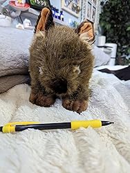 Amazon.com: FRANKIEZHOU Lifelike Wombat Stuffed Animal-Brown 12 ...