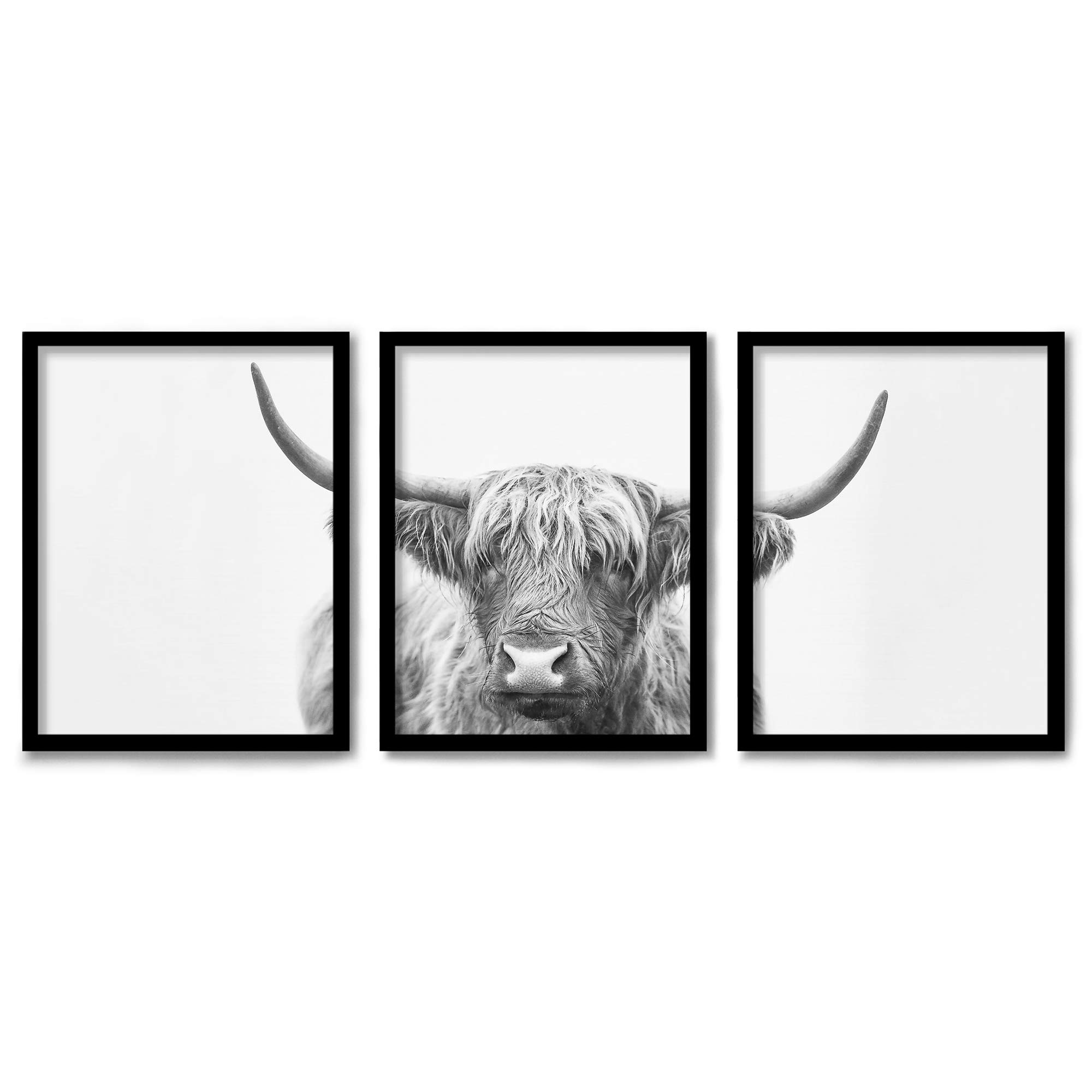 3 Piece Framed Triptych Highland Bull Horns by Sisi and Seb TRI-SET-102 ...