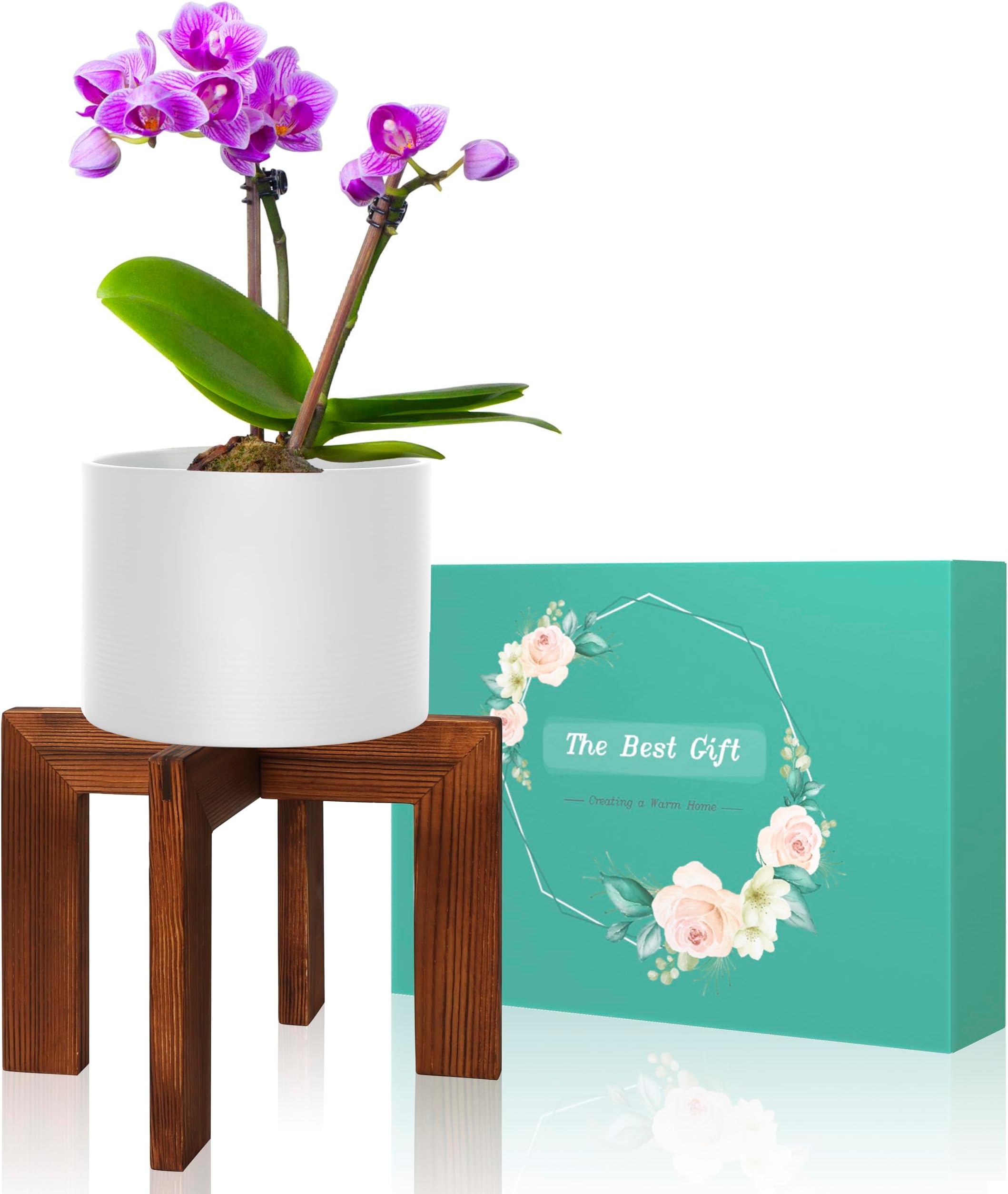 Amazon.com: Barydat 4 Pack Wood Plant Stand Mid Century Modern Planter ...