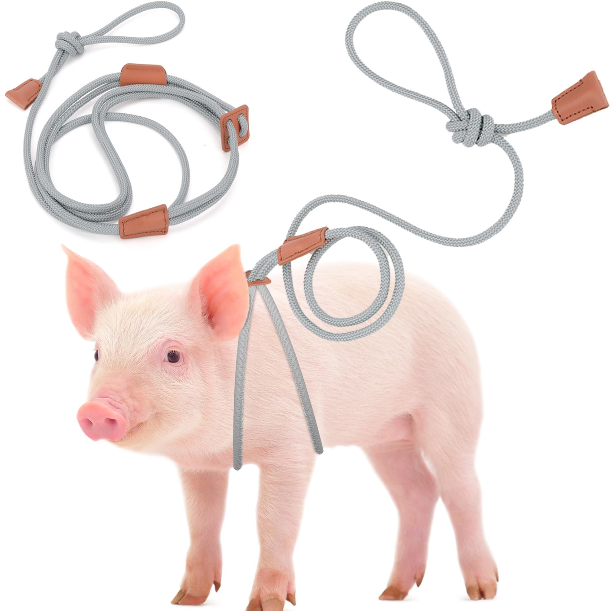Amazon.com : Drunhan Mini Pig Harness & Leather, Pet Pig Supplies ...