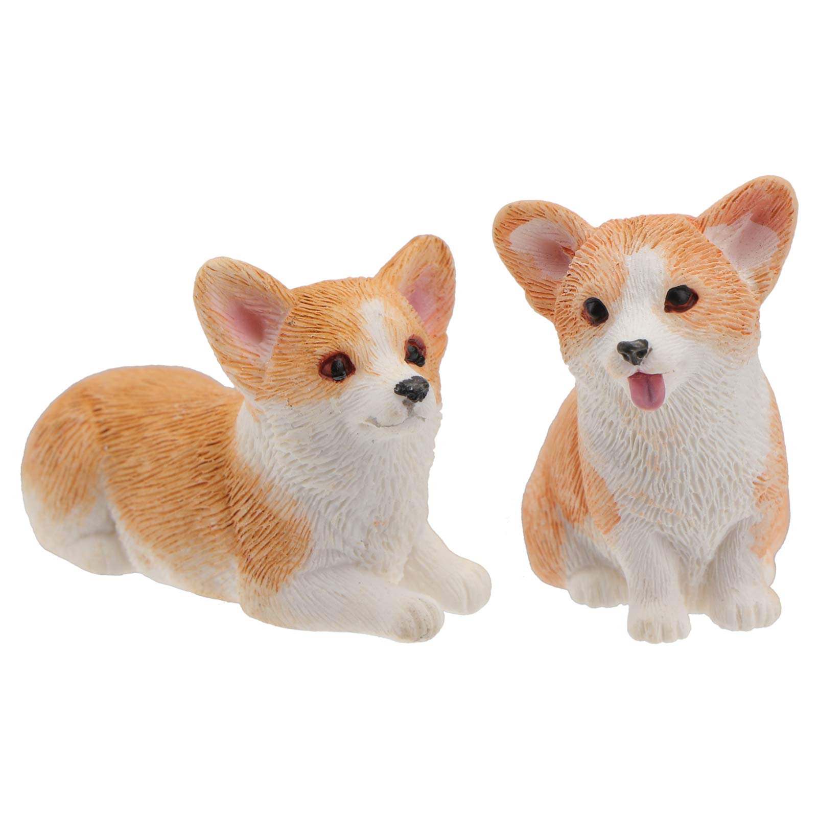 Mini Corgi Full Grown