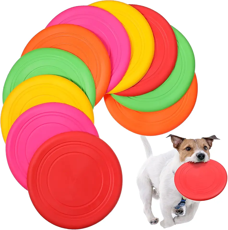 Bulging Disc In Dogs: Can It Heal Naturally? | PetShun