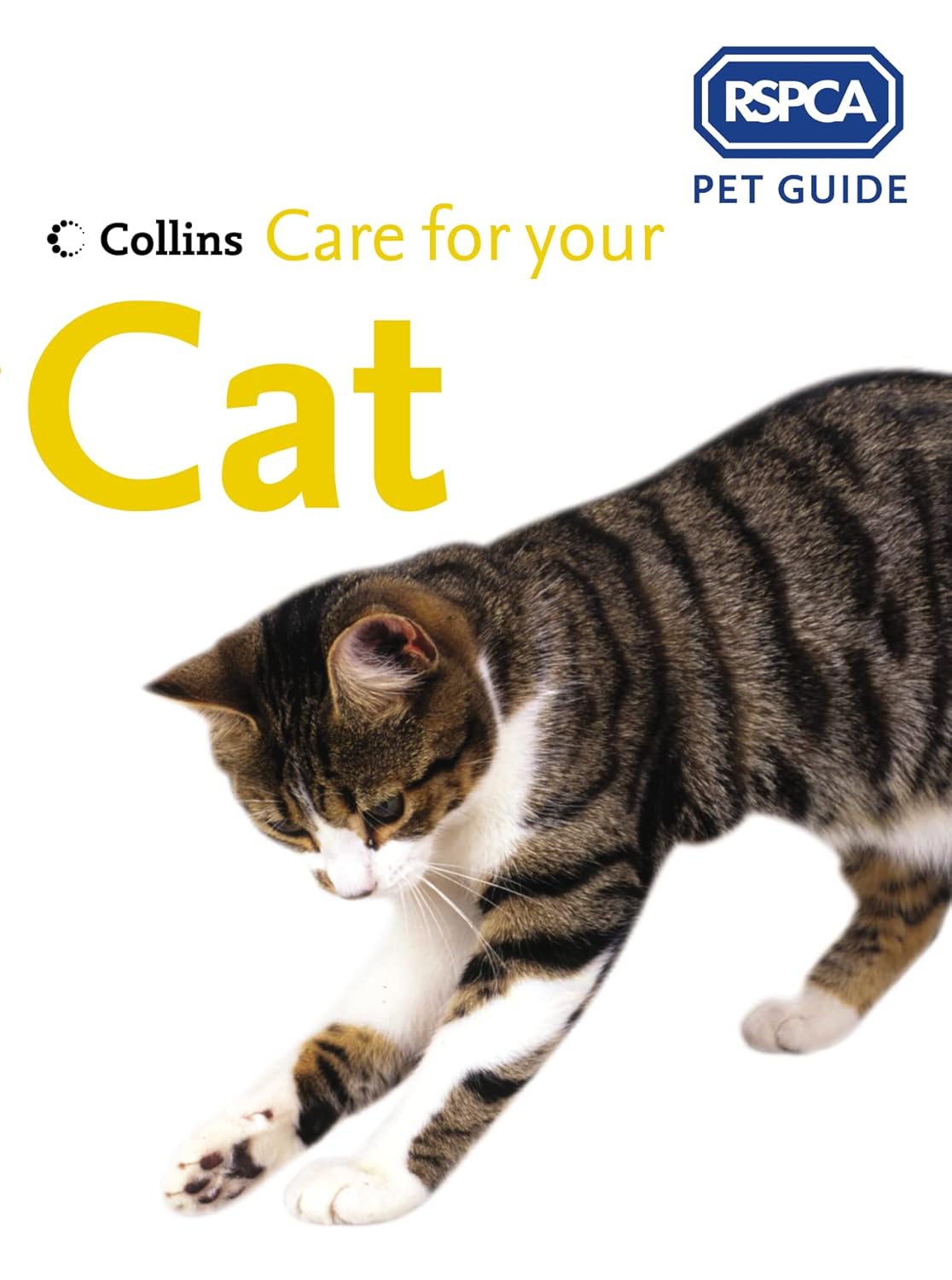 Care for Your Cat (RSPCA Pet Guides): RSPCA: 9780007193561: Amazon.com ...