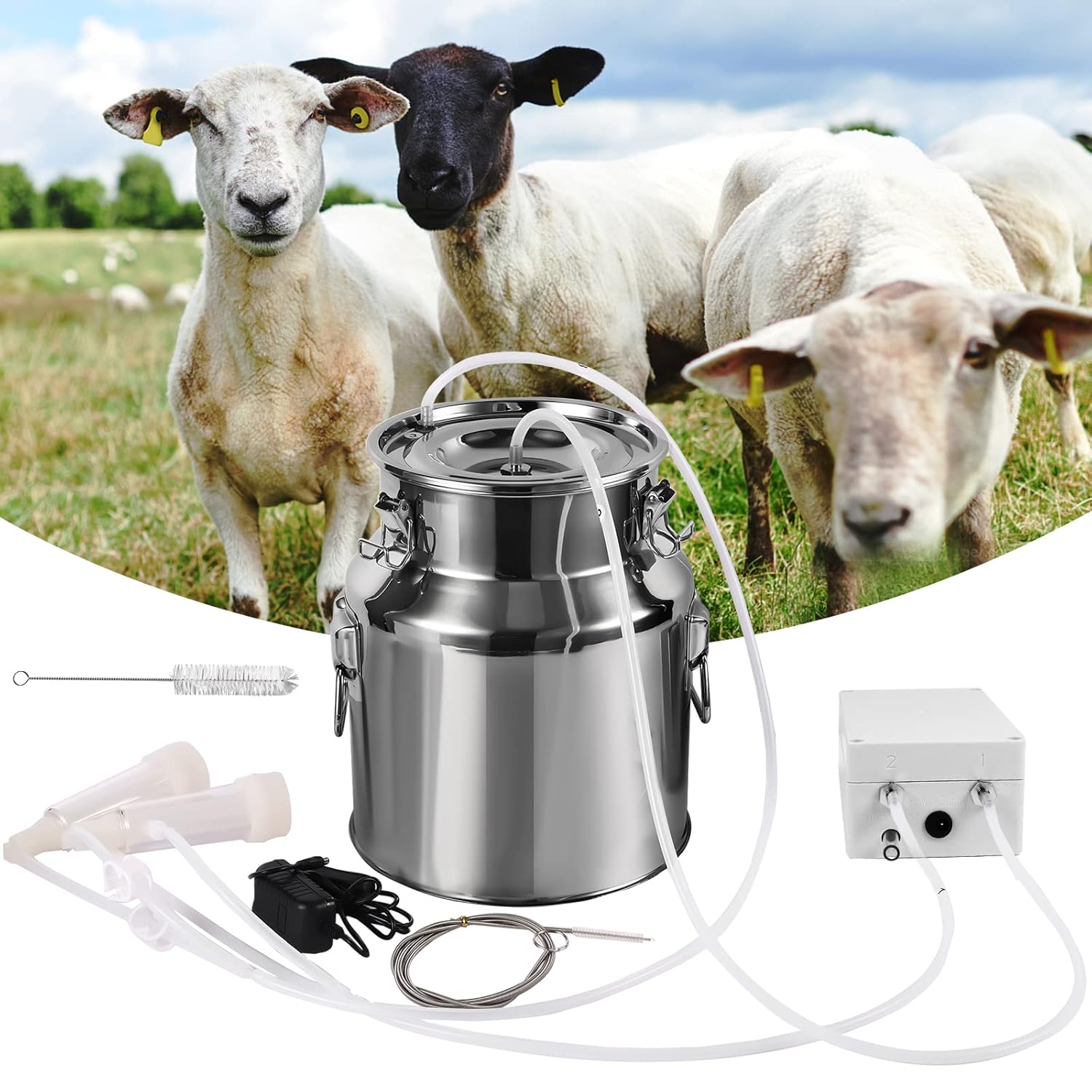 Amazon.com: YLSAZL 14L Goat Milking Machine,Goat Pulsation Vacuum ...