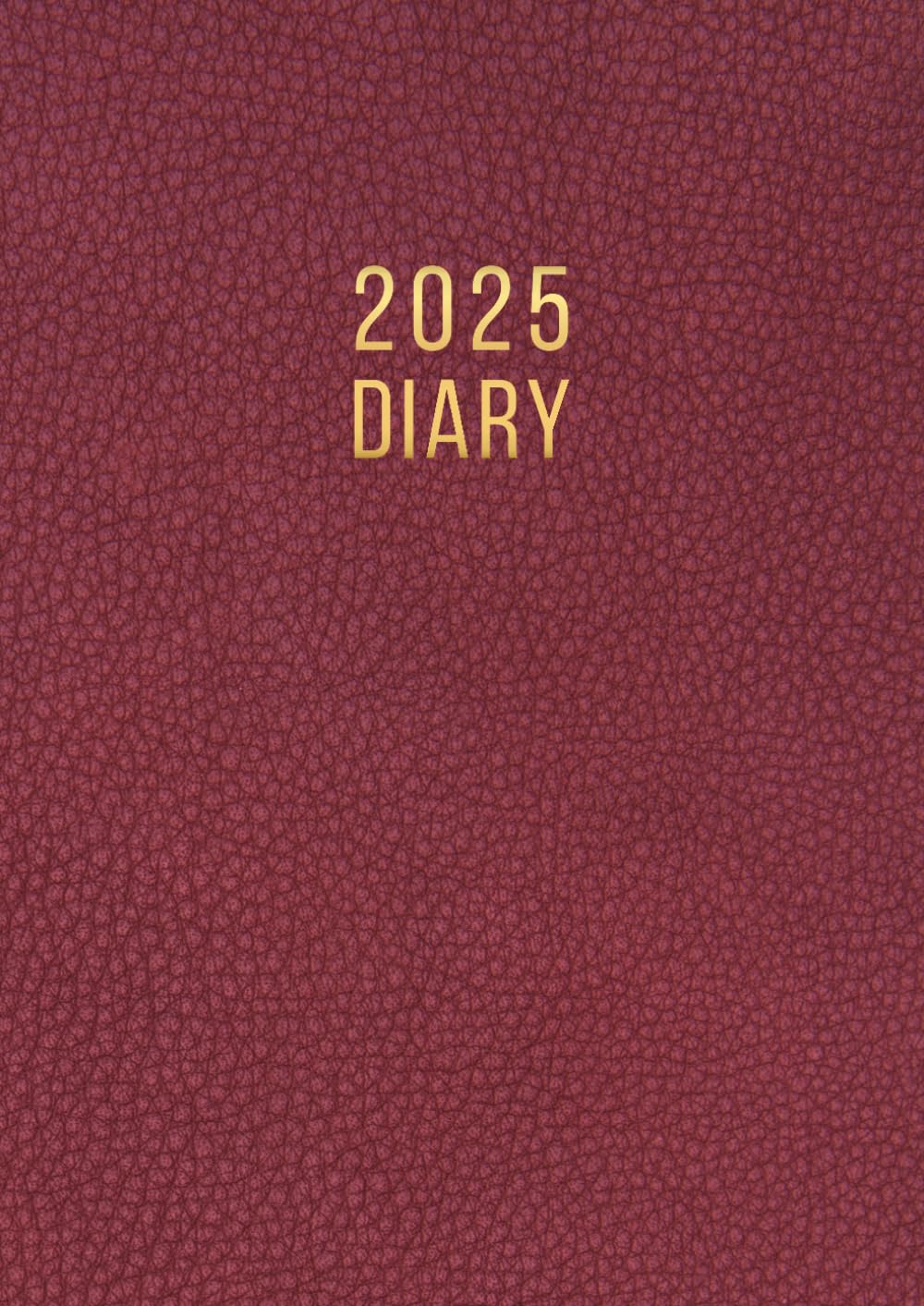2025 A4 Page A Day: One Page Per Day Daily Diary Planner & Organiser ...