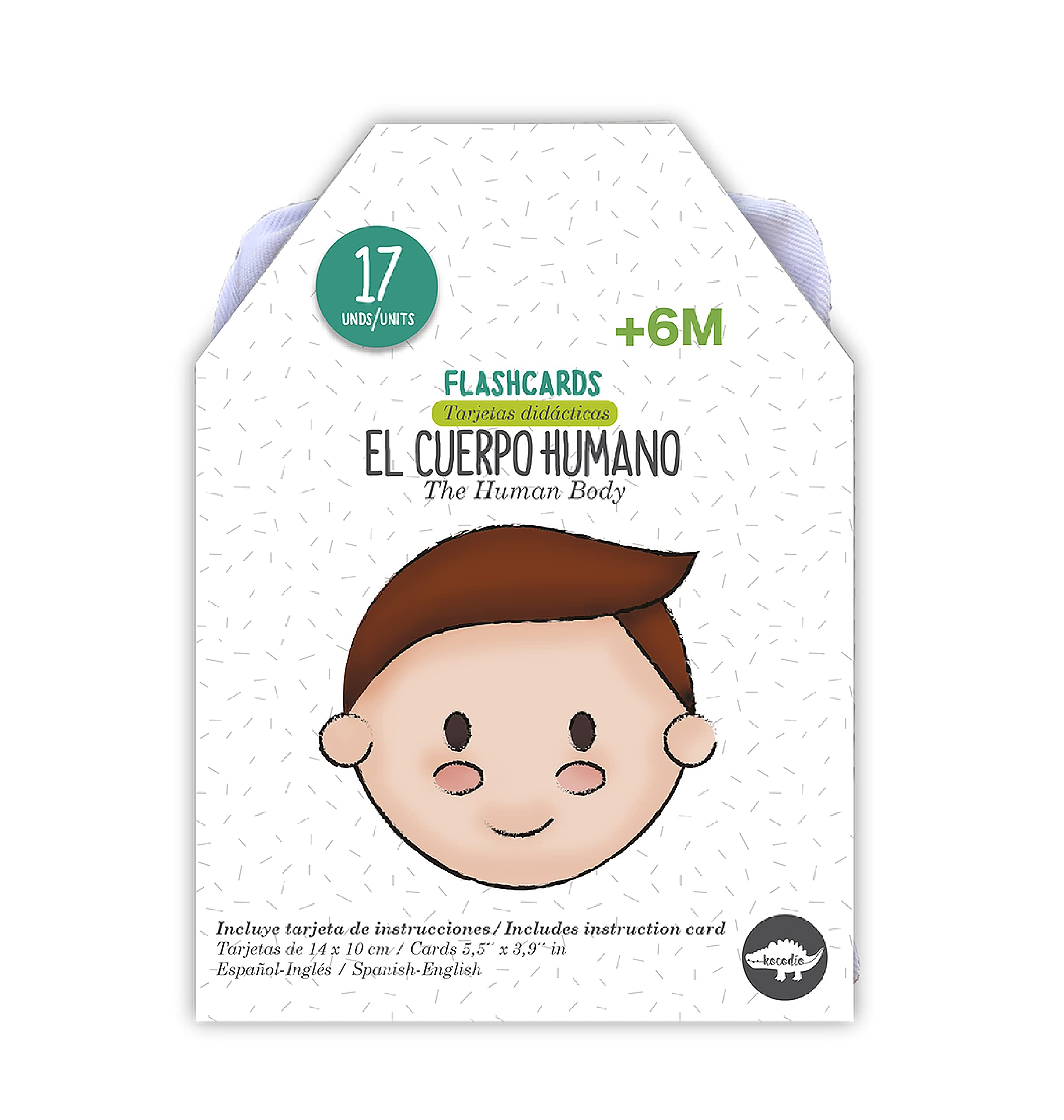buy-flash-cards-the-human-body-flashcards-ages-6-m-and-up-preschool