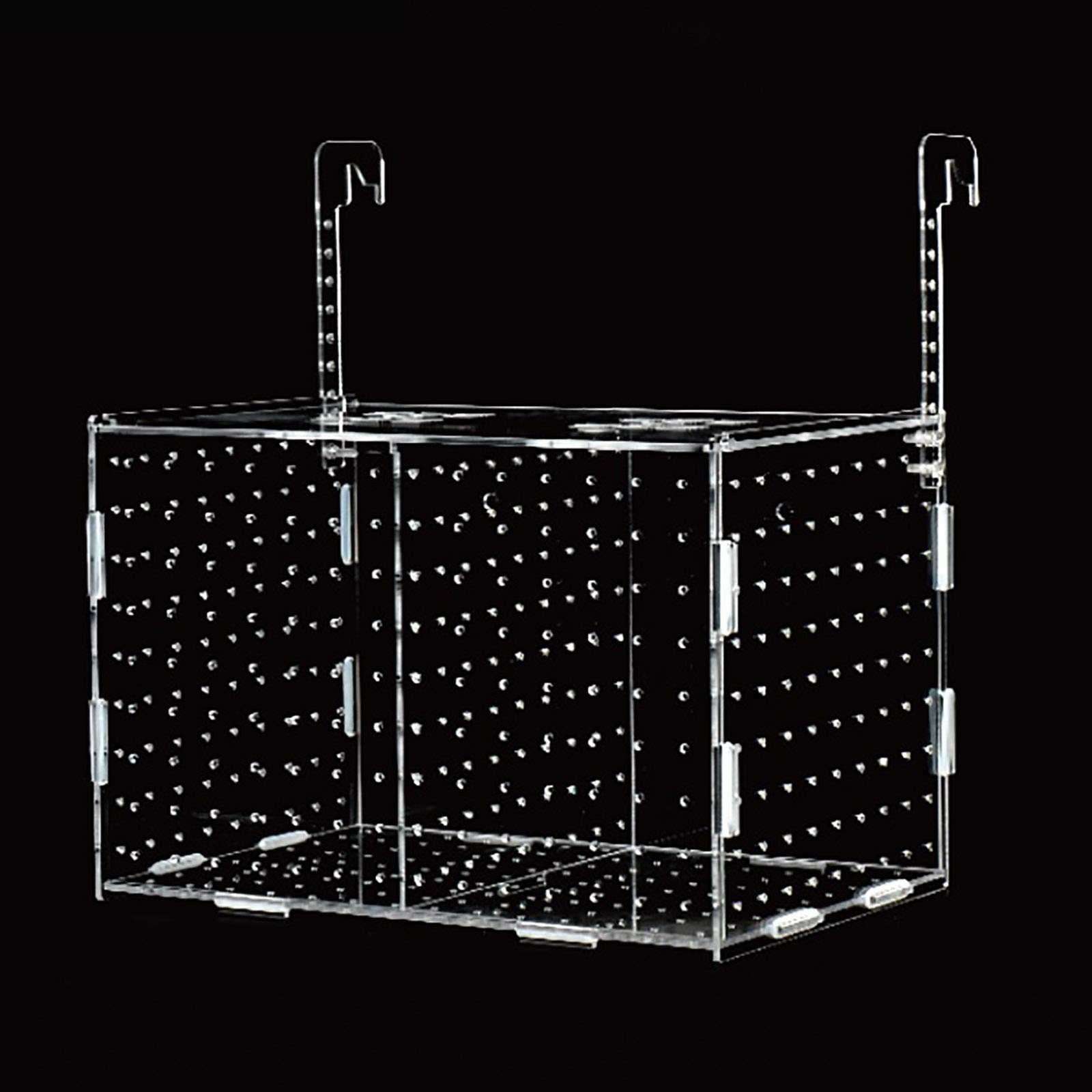 Buy GETZ Fish Breeding Box Isolation Box Breeder with Hook Isolation ...