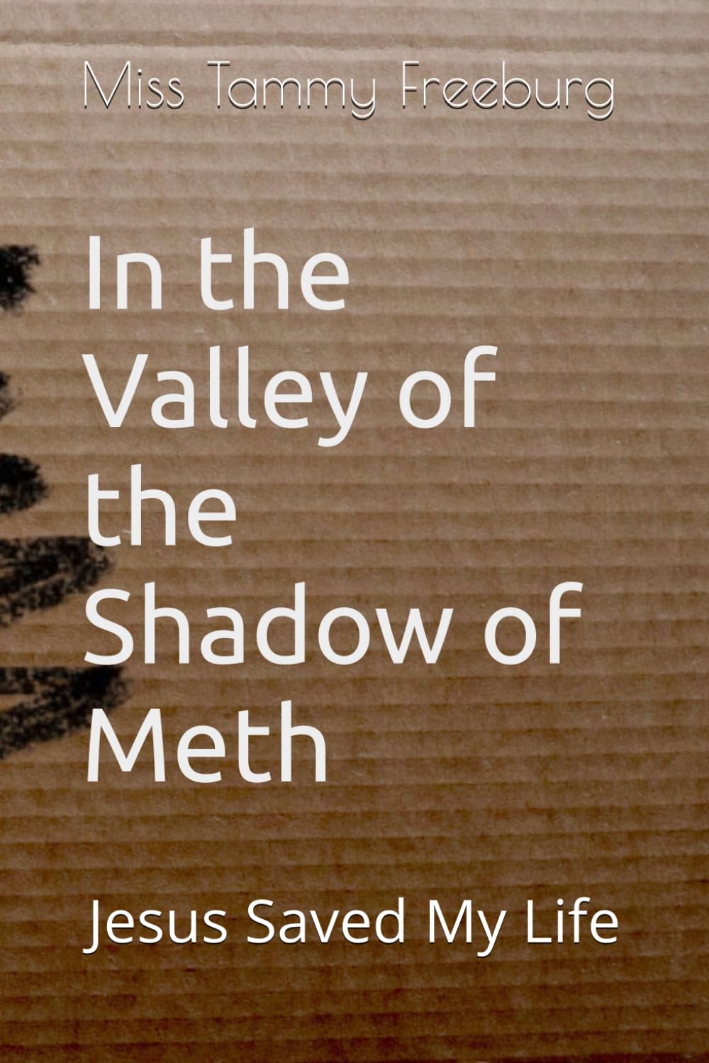 In The Valley of the Shadow of Meth: Jesus Saved My Life: Freeburg ...