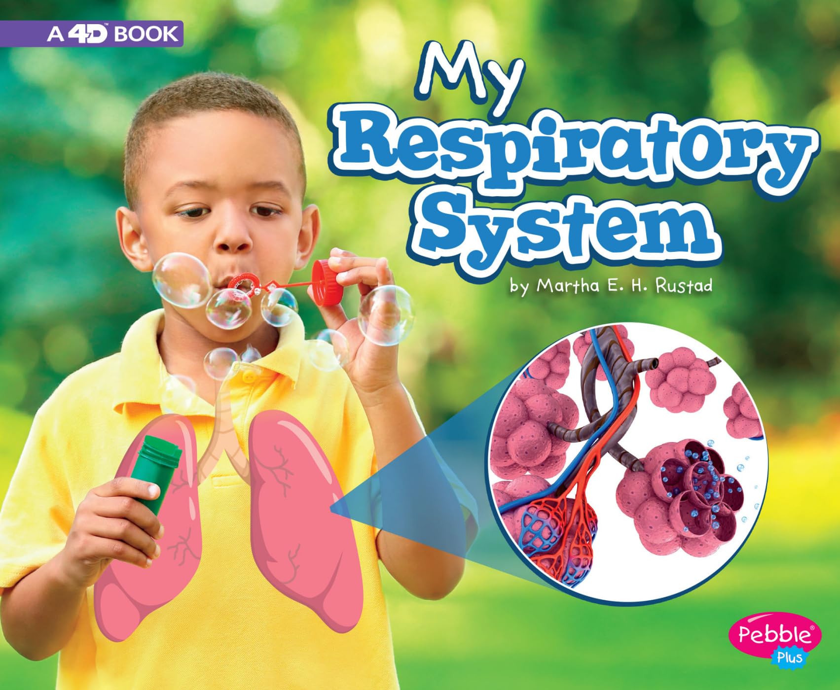 Amazon.com: My Respiratory System: A 4D Book (My Body Systems ...