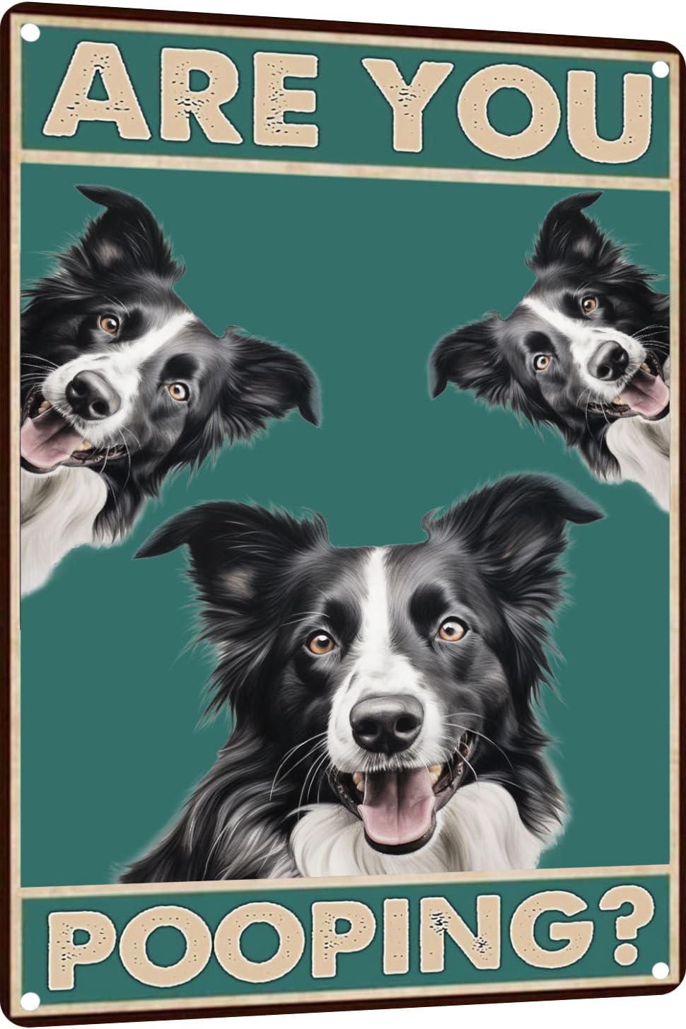 Amazon.com: TopPacific Metal Sign Dog Border collie Are You Pooping ...
