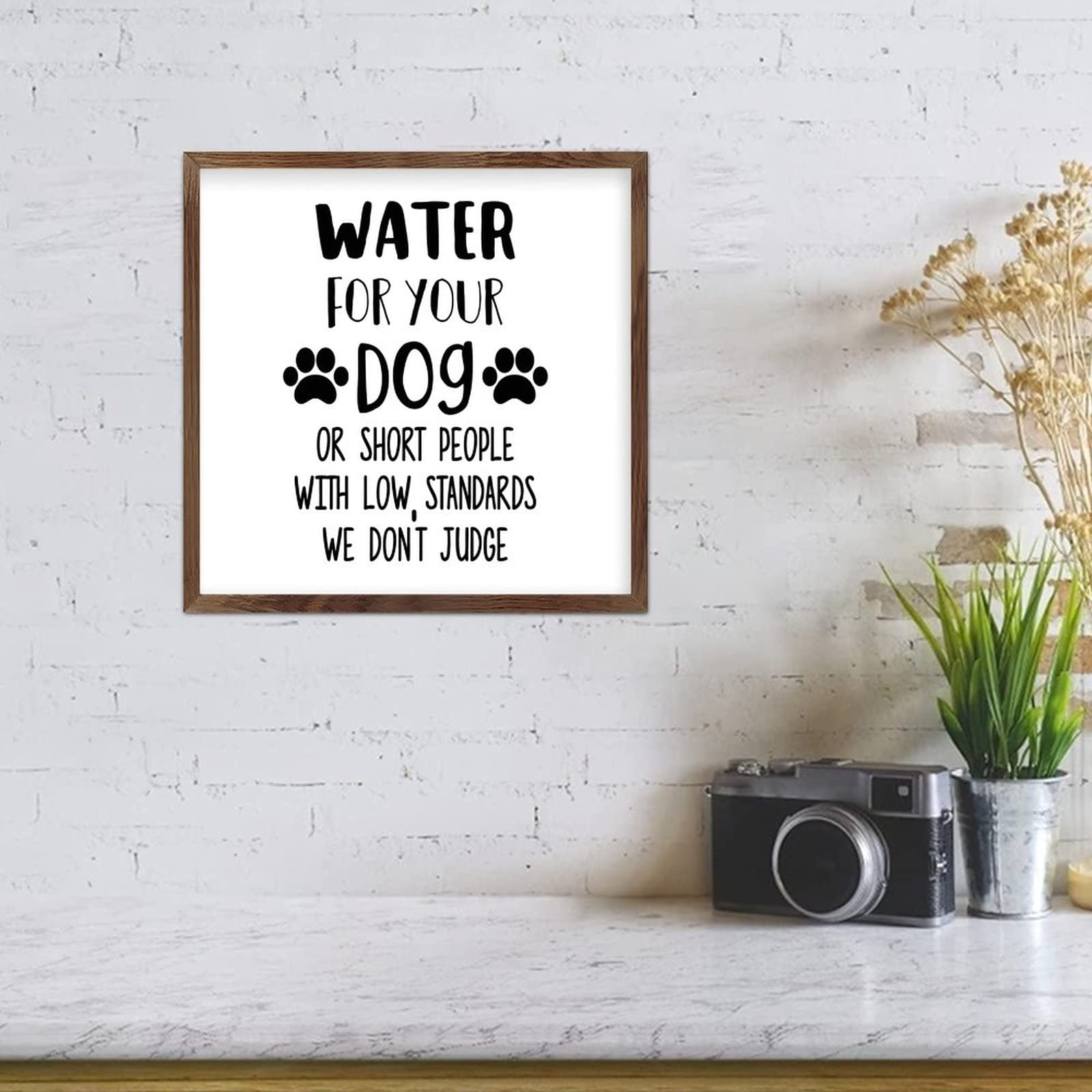 Dog Water Quotes 65 Best Dog Quotes To Celebrate Loyal, Loving Pups