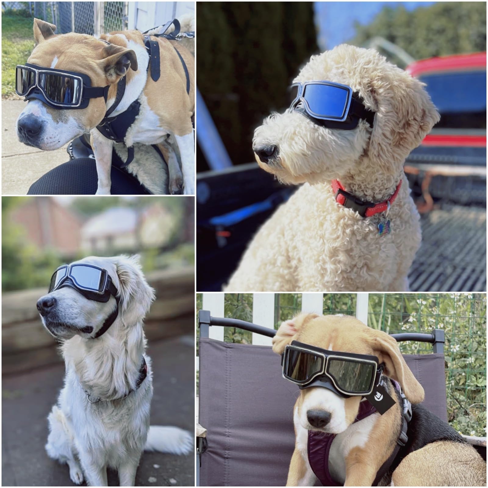 Snapklik.com : Dog Goggles Medium To Large Breed, Wide Snout, Anti-UV ...