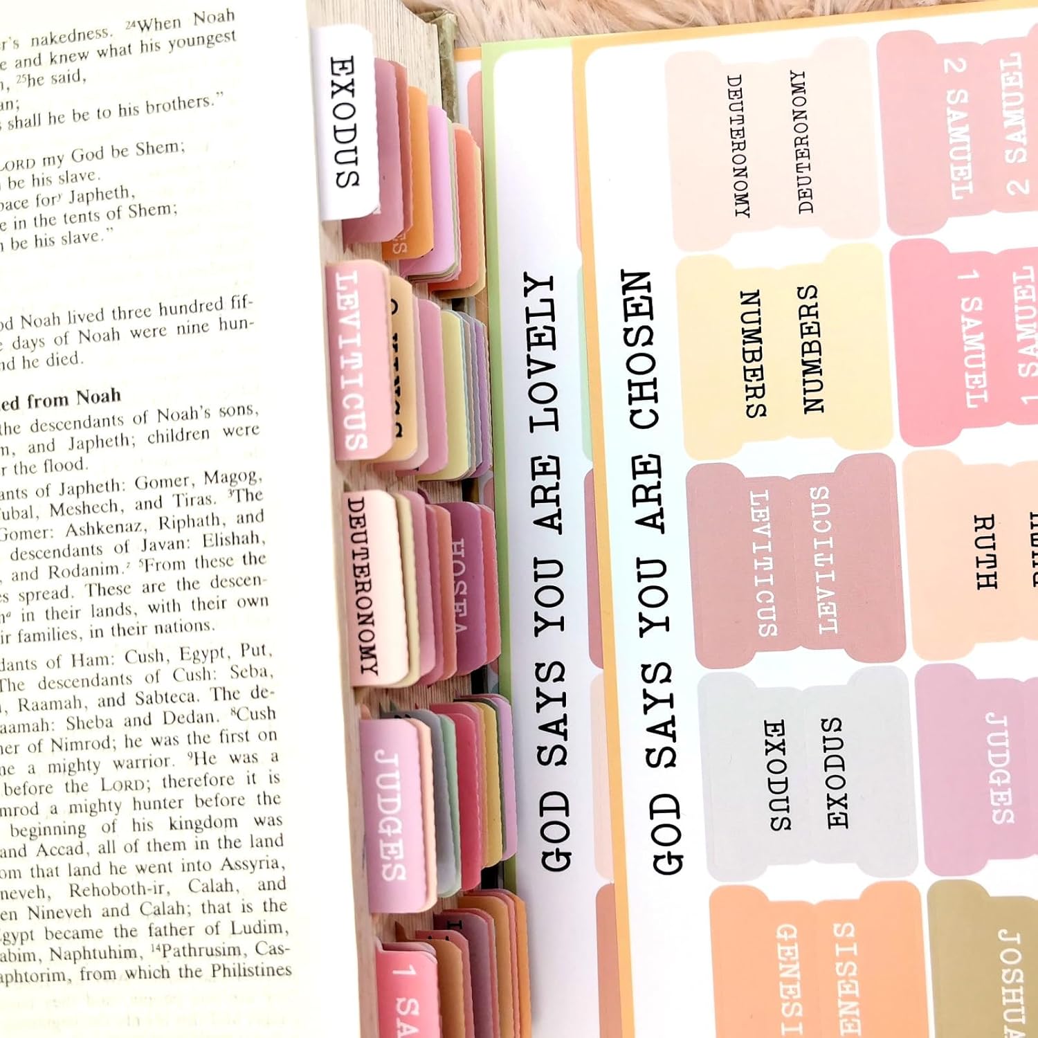 Amazon.com: Bible Tabs, Bible Tabs for Women Men, Bible Stickers, Bible ...