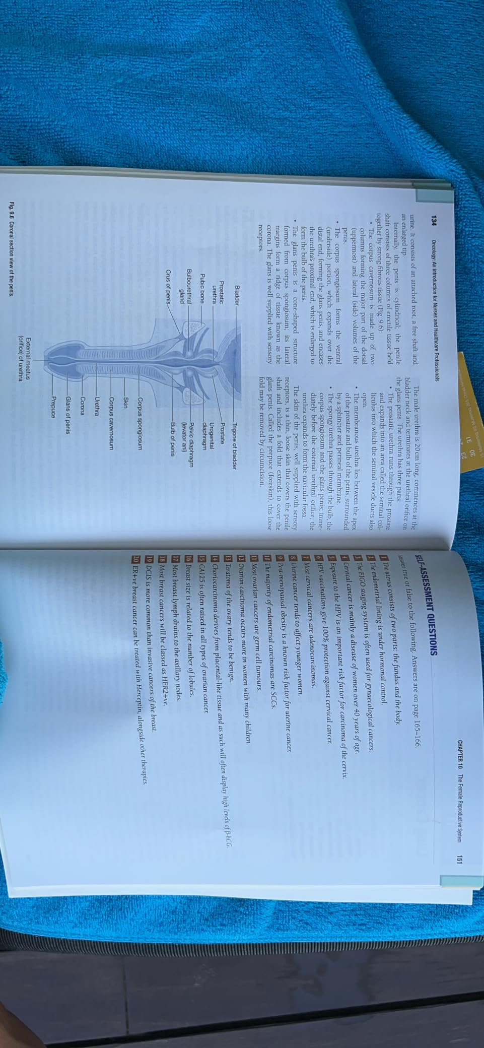 Oncology: An Introduction for Nurses and Healthcare Professionals : O'Halloran BEd(Hons) Med ...