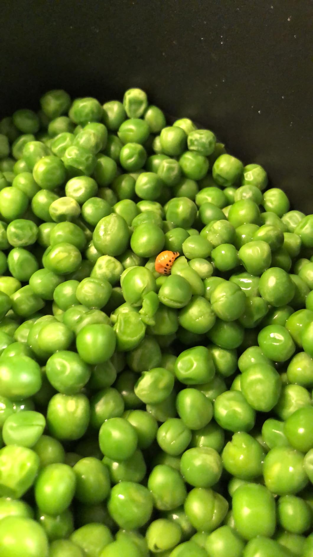 Amazon.com: 365 by Whole Foods Market, Peas Green, 32 Ounce : Grocery ...