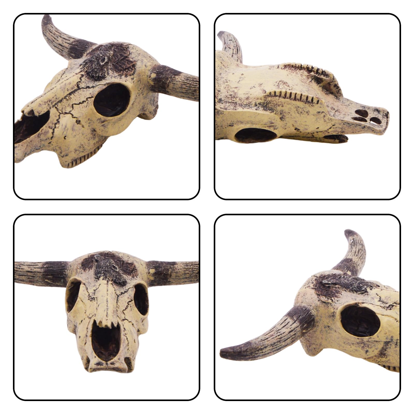 Snapklik.com : Cattle Skull Aquarium Decoration, Skull Fish Tank ...
