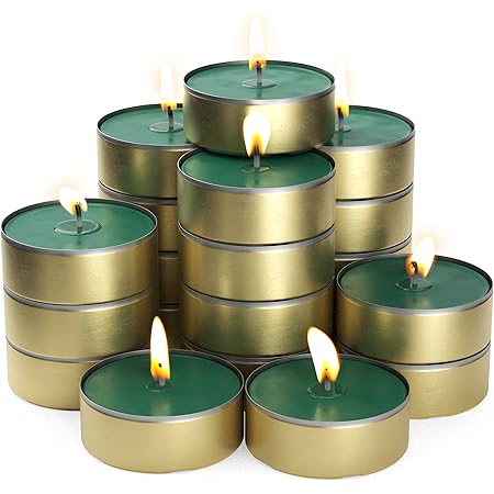 Amazon.com: Tahoe Pine Premium Tealight Candles Multi Pack - Highly ...