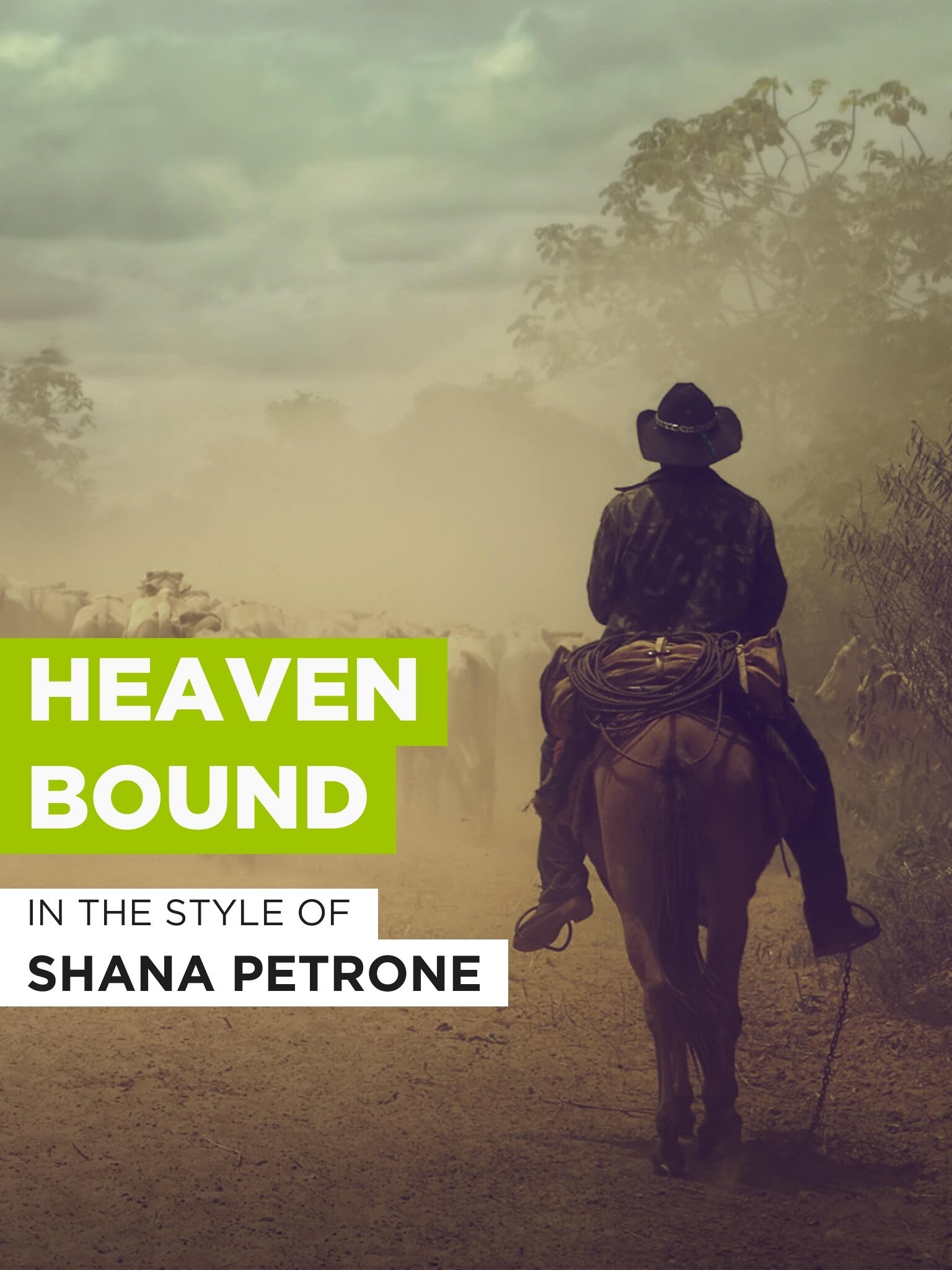 Amazon.com: Heaven Bound : Shana Petrone, C Jones / K Stegall ...