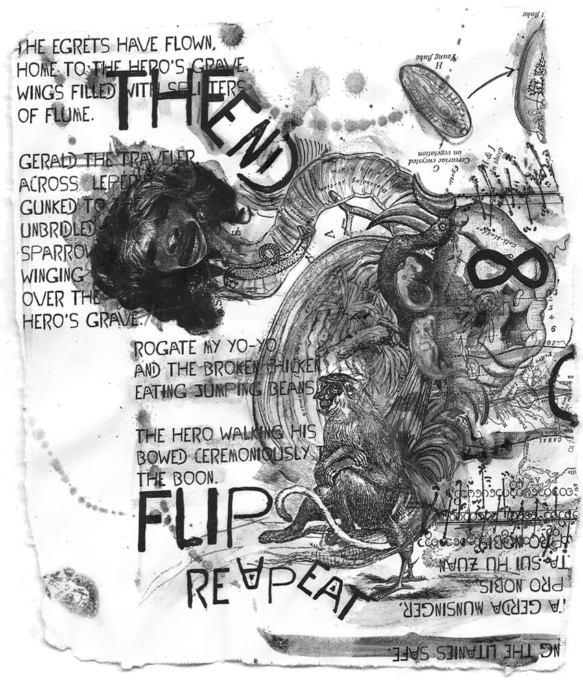 Boons & The Camp: Ohle, David: 9780979808081: Amazon.com: Books