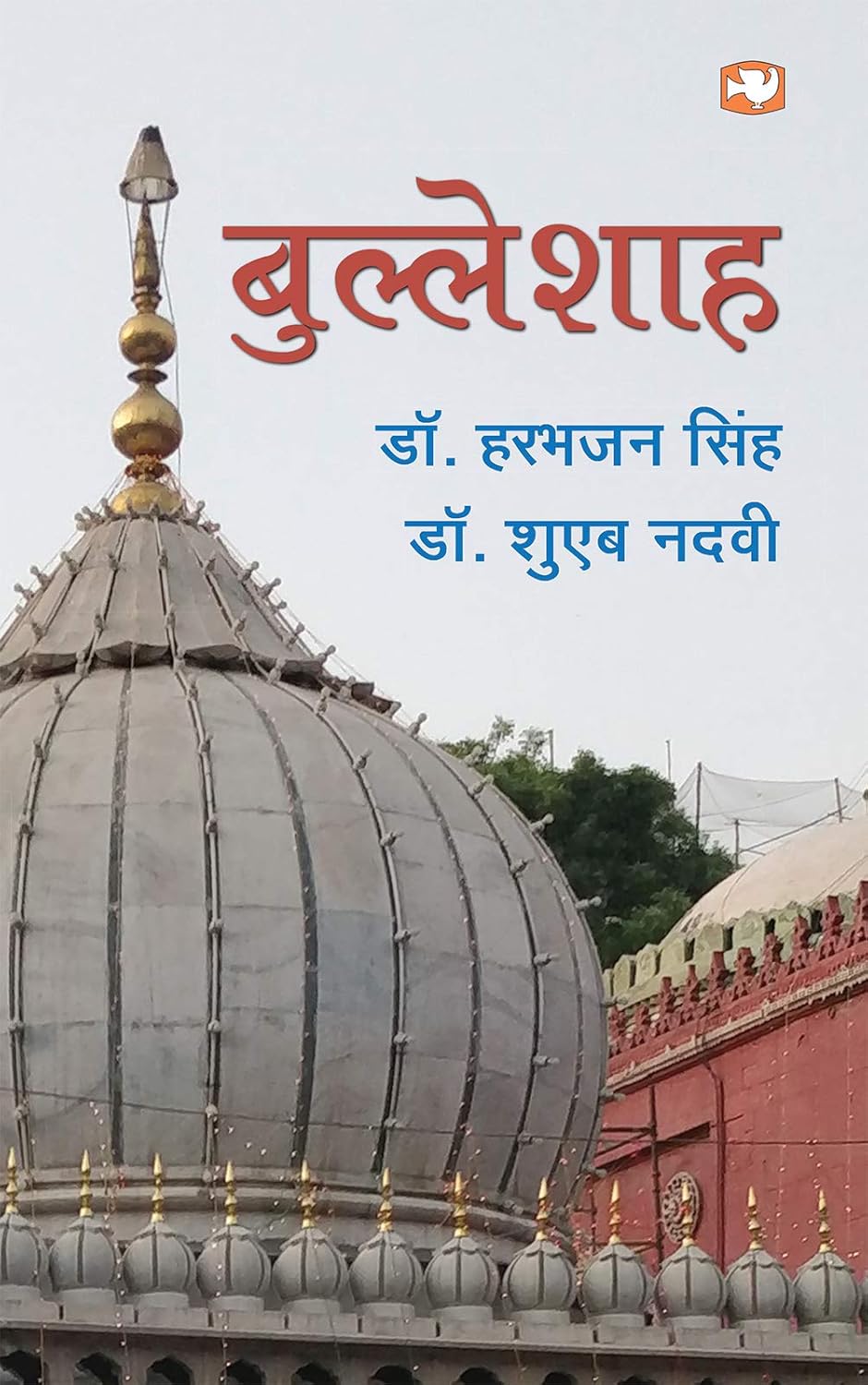 BULLESHAH (Hindi Edition) eBook : SINGH, HARBHAJAN, NADVI, SHOAIB ...