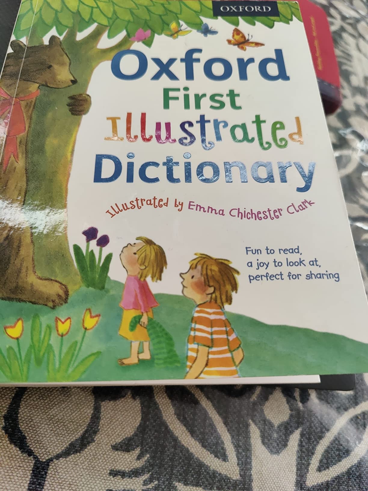 Oxford First Illustrated Dictionary : Delahunty, Andrew, Chichester ...