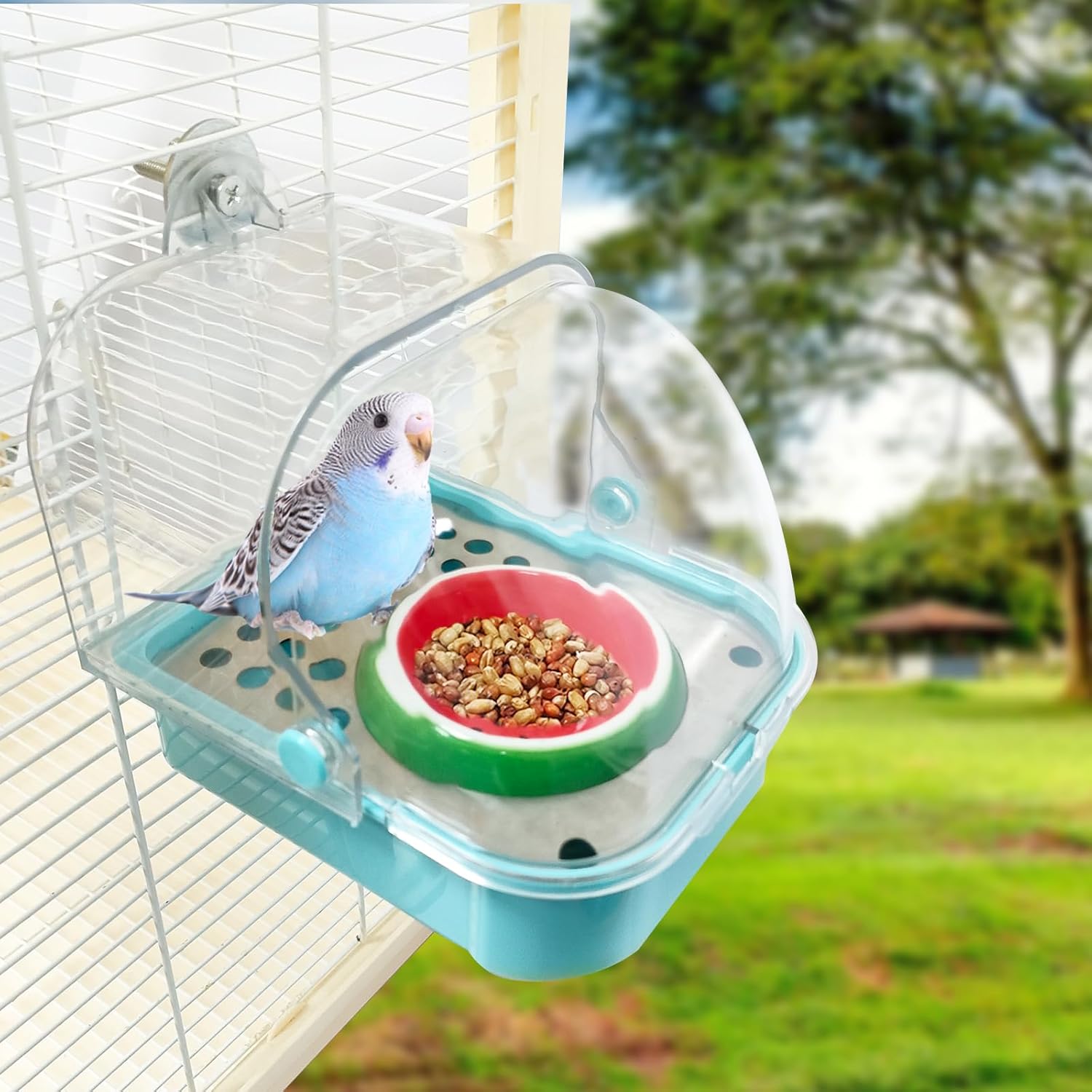 Amazon.com : Bird Feeder for Cage No Mess Bird Cage Pet Feeder Bird ...