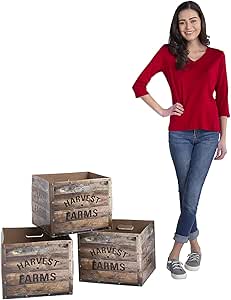 Amazon.com: 3D Apple Orchard Boxes Decoration, 3 Pieces : Home & Kitchen