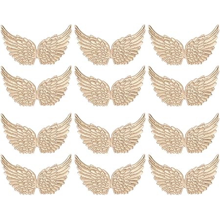Amazon.com: NUOBESTY Angel Wing Shape Embroidered Patches, Iron on ...