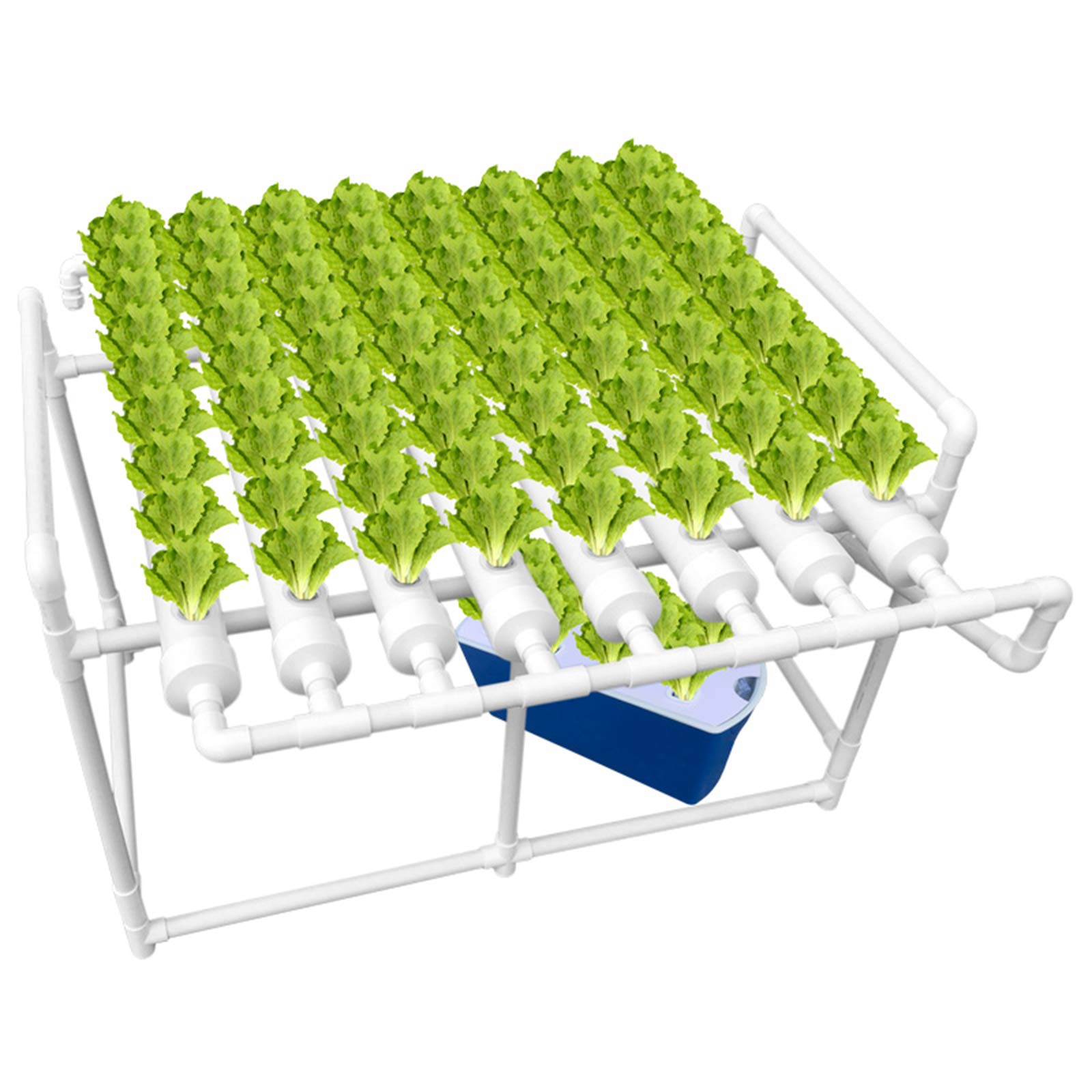 Vertical Hydroponic Garden Using Pvc Pipes