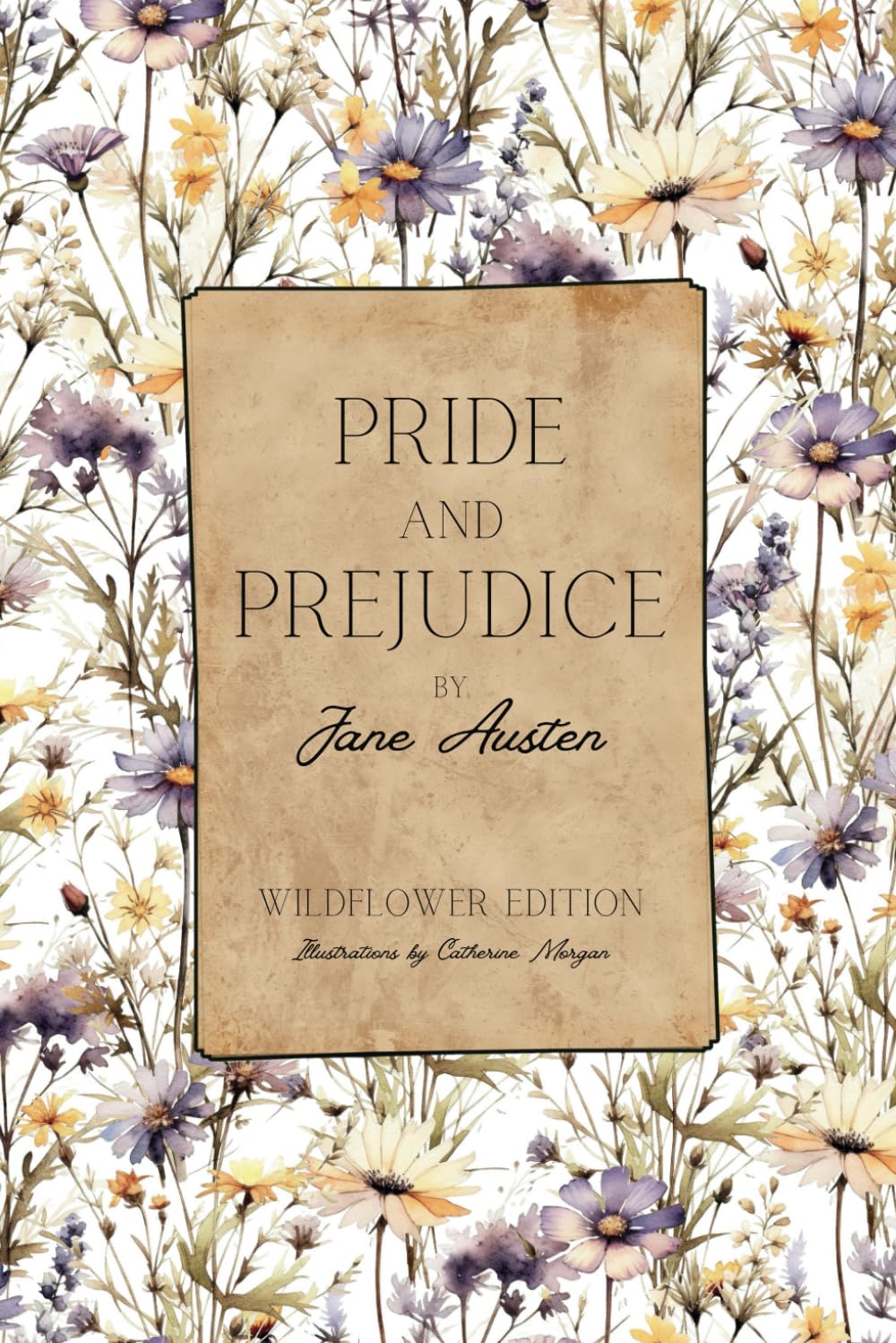 Amazon.com: Pride and Prejudice: Illustrated by Catherine Morgan ...